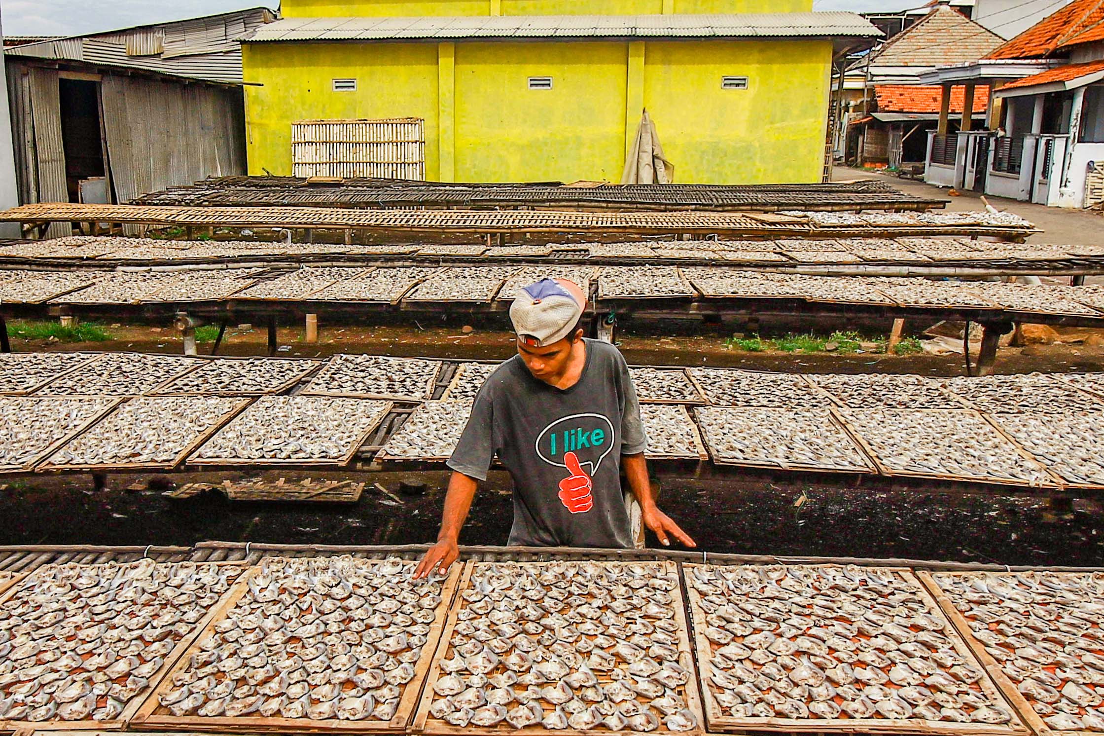 Menjemur Ikan Asin - Suar Mahasiswa Awards 2025