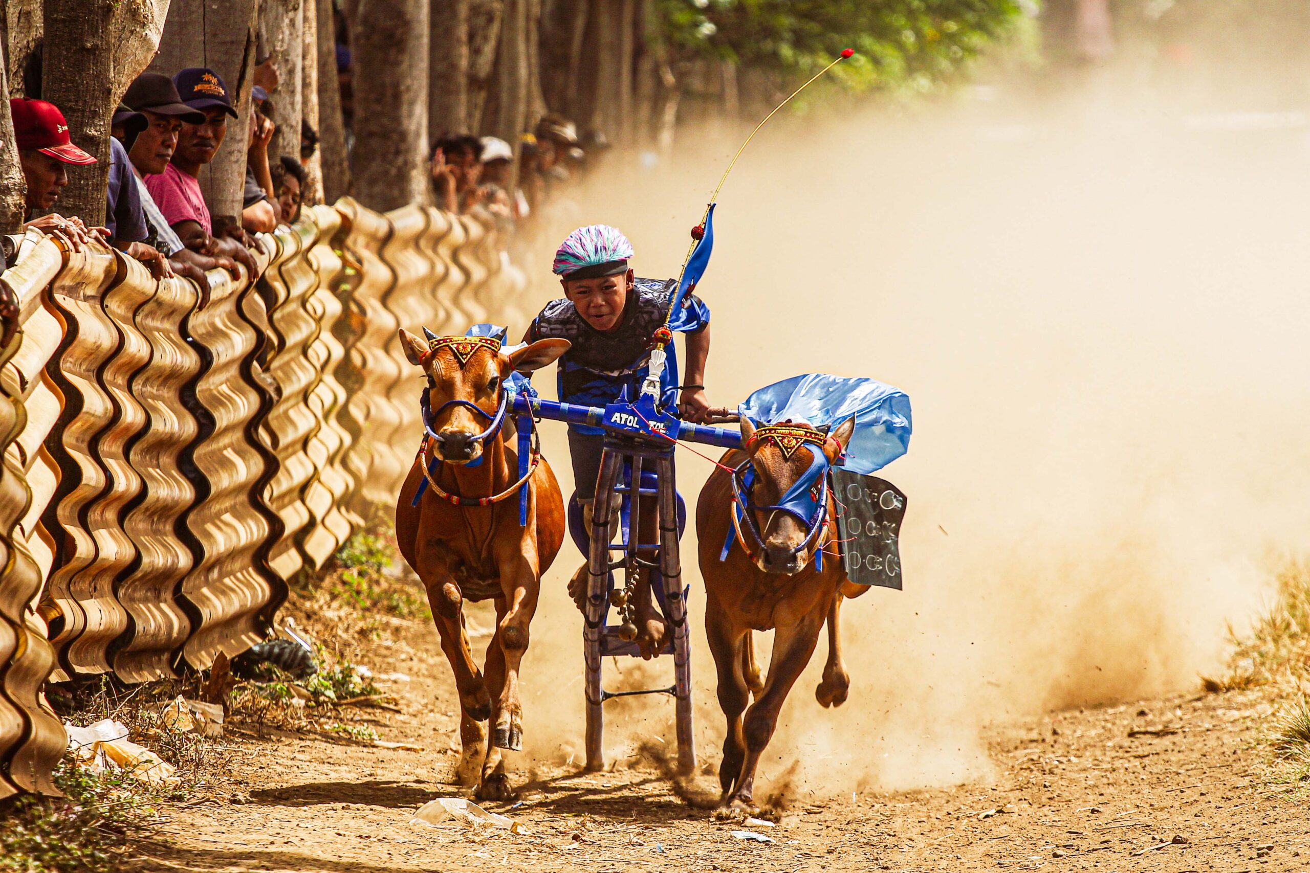 Joki Cilik Karapan Sapi - Suar Mahasiswa Awards 2025